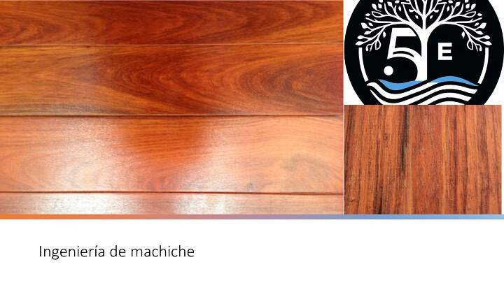 Machiche una madera suave y fuerte | Pisos de Madera