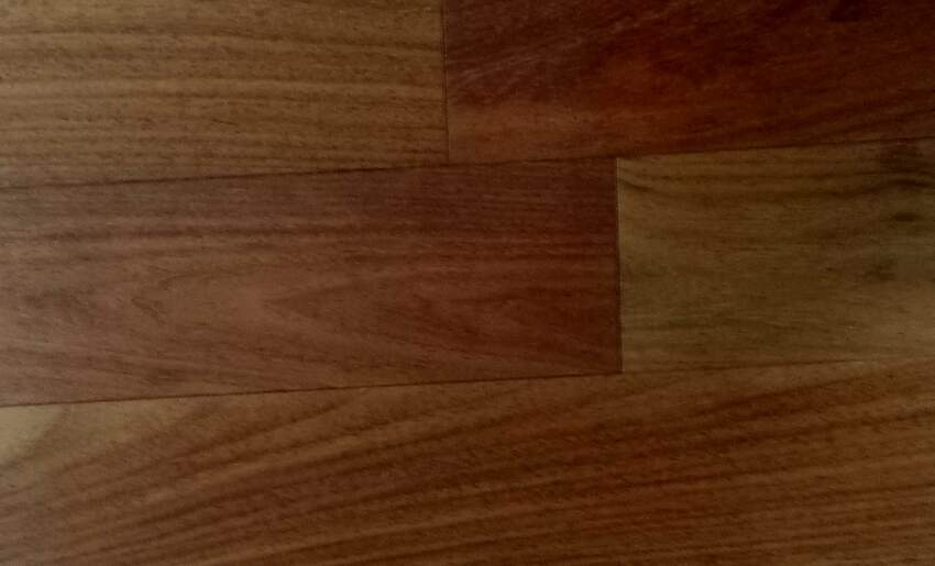 Machiche una madera suave y fuerte | Pisos de Madera